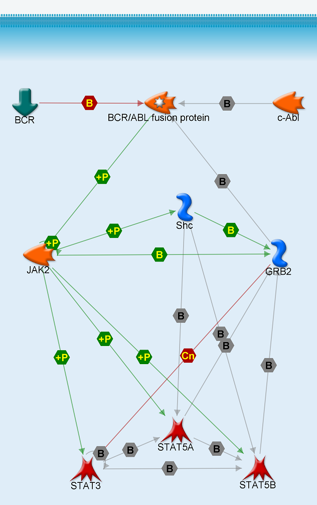 QuAD - BCR/Abl Pathway Map